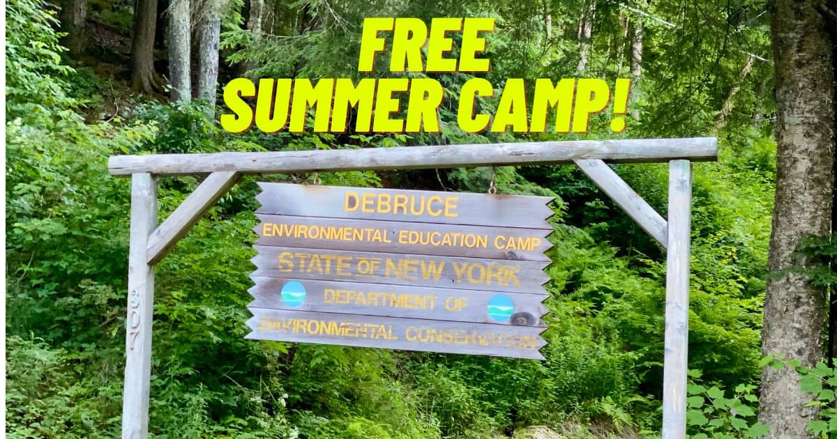 Free Summer Camp for Kids | DEC Campership Program