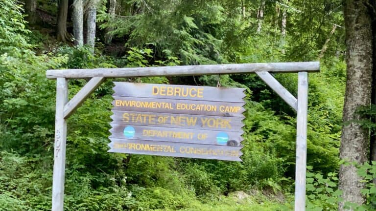 Free Summer Camp For Kids | DEC Campership Program